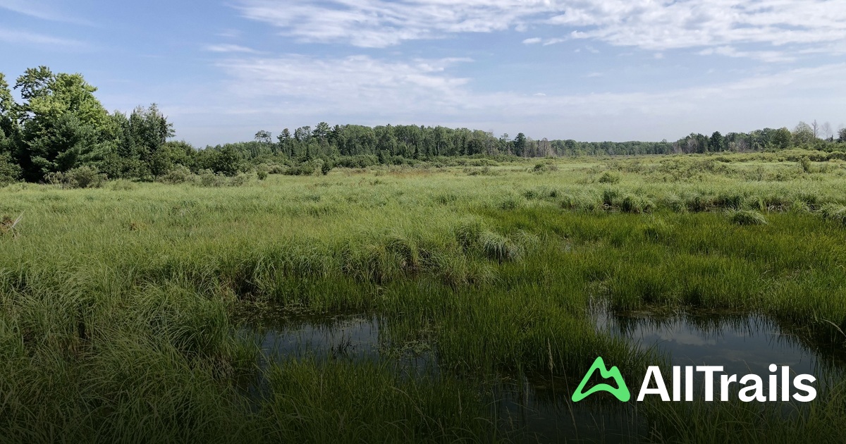 Madaline Island | List | AllTrails