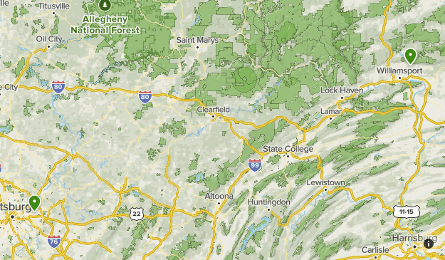 Tulip trees | List | AllTrails