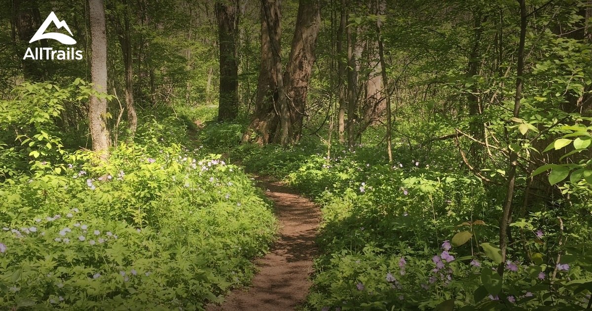 Volunteer Time trails | List | AllTrails