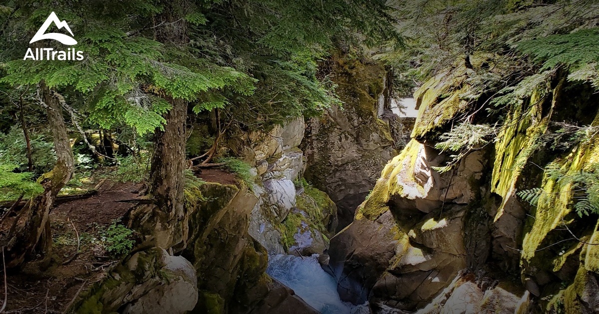 Mt. Rainier (near Cougar rock) | List | AllTrails