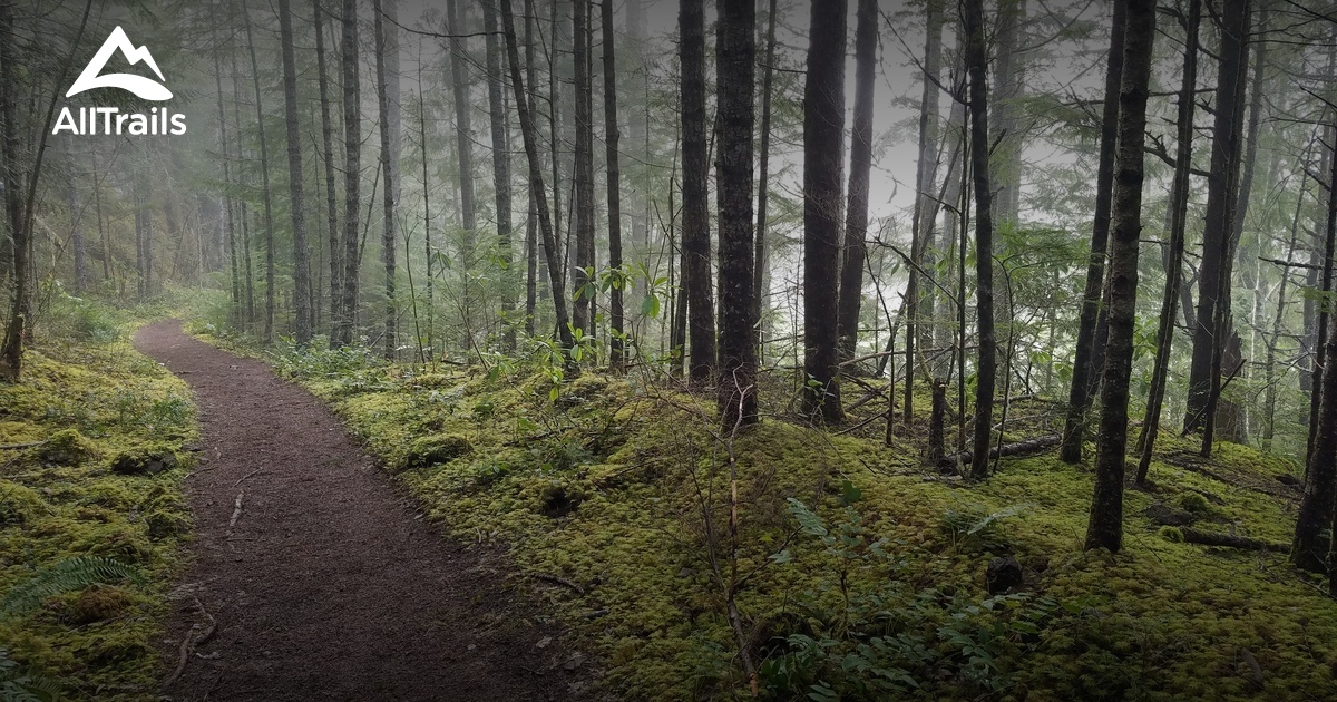 Camp Parsons | List | AllTrails