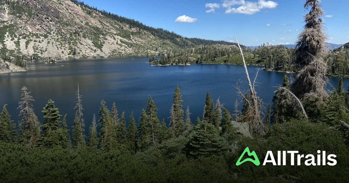 Carvin Creek Cabins | List | AllTrails