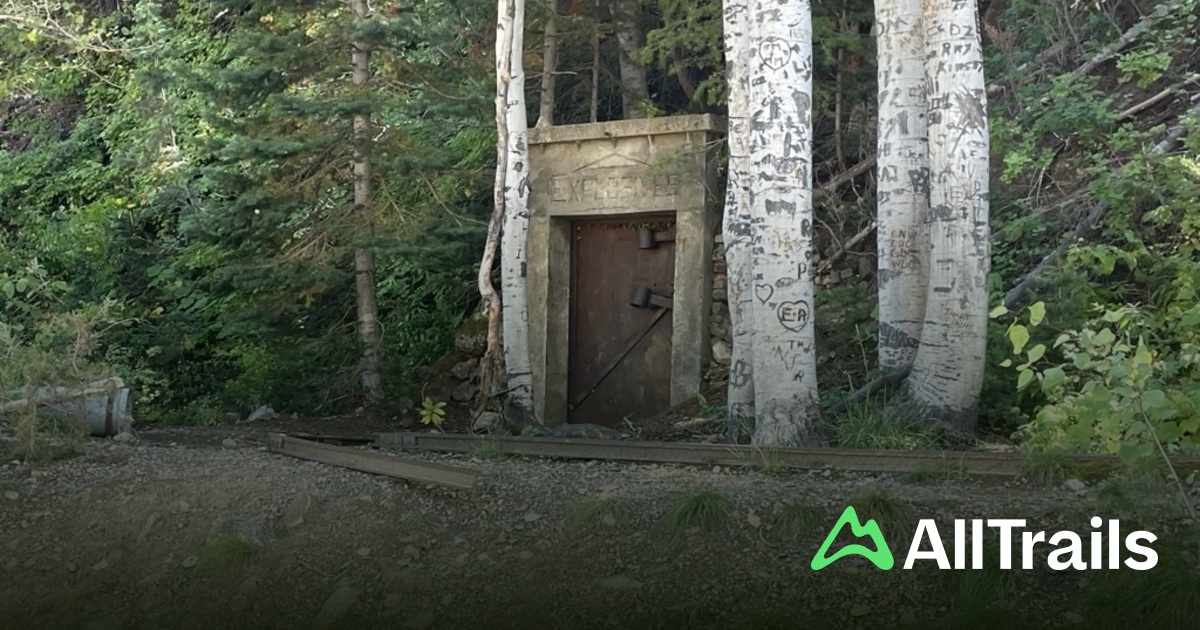 Guardsman Pass Hikes | List | AllTrails