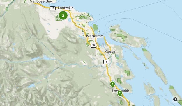 Old logging roads trails | List | AllTrails