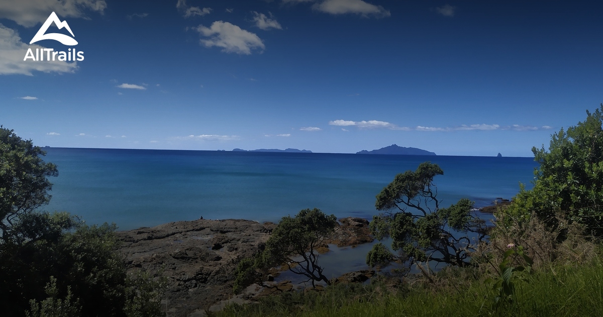 Bream Bay | List | AllTrails