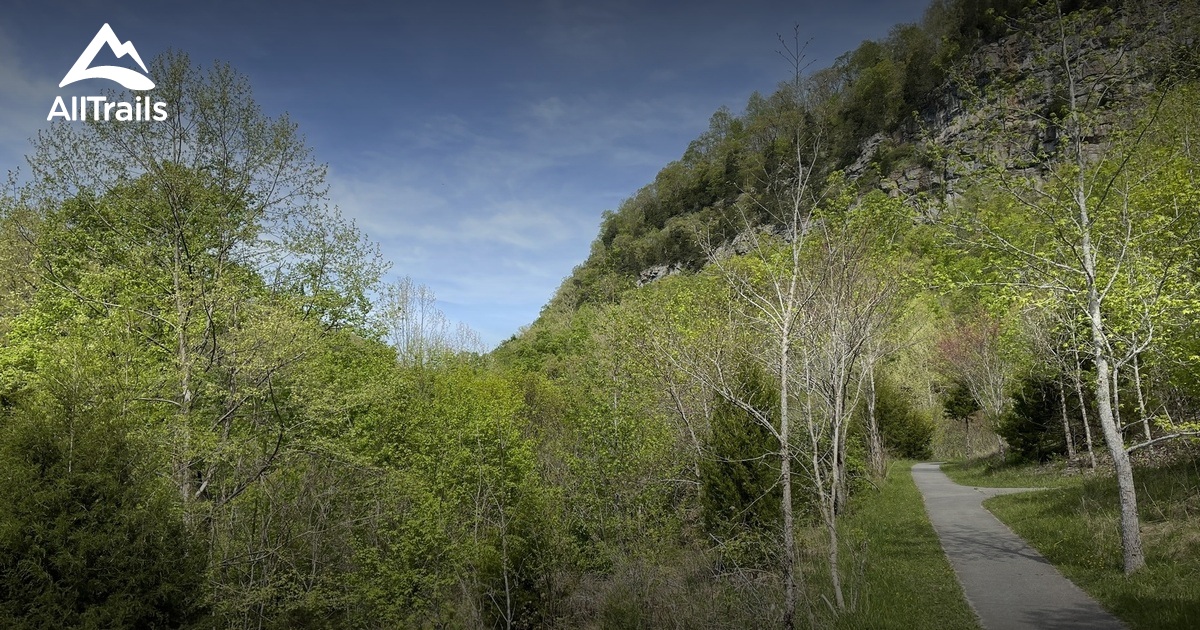 Norris Lake area | List | AllTrails