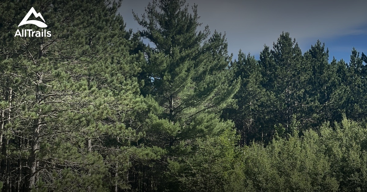 Gaylord Trails | List | AllTrails