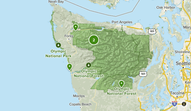 short hikes in Olympic national park | List | AllTrails