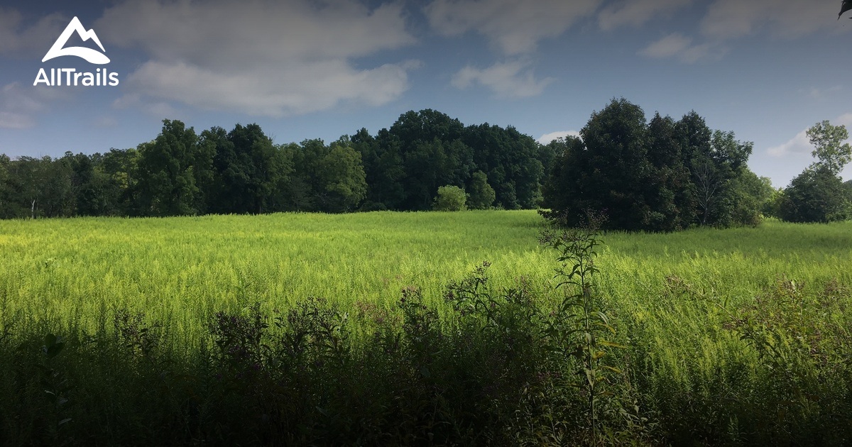 Dripping Rock and Overloop | List | AllTrails