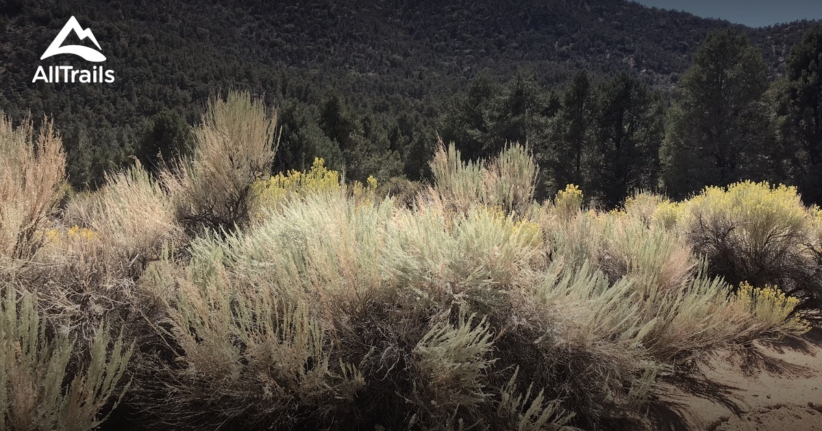 Off road lake Isabella area | List | AllTrails