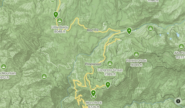 Sequoia National Park | List | AllTrails