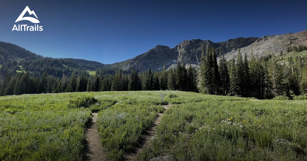 5th week trail | List | AllTrails