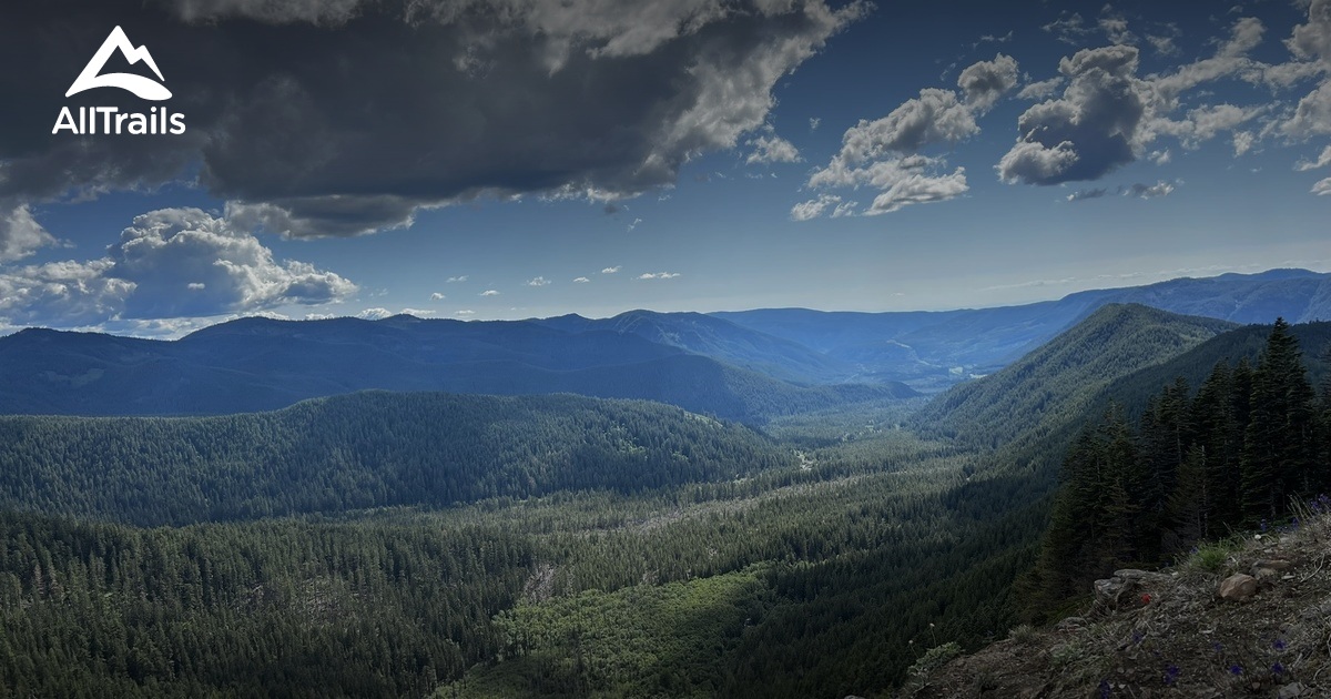 Mt Hood Easy Hikes | List | AllTrails