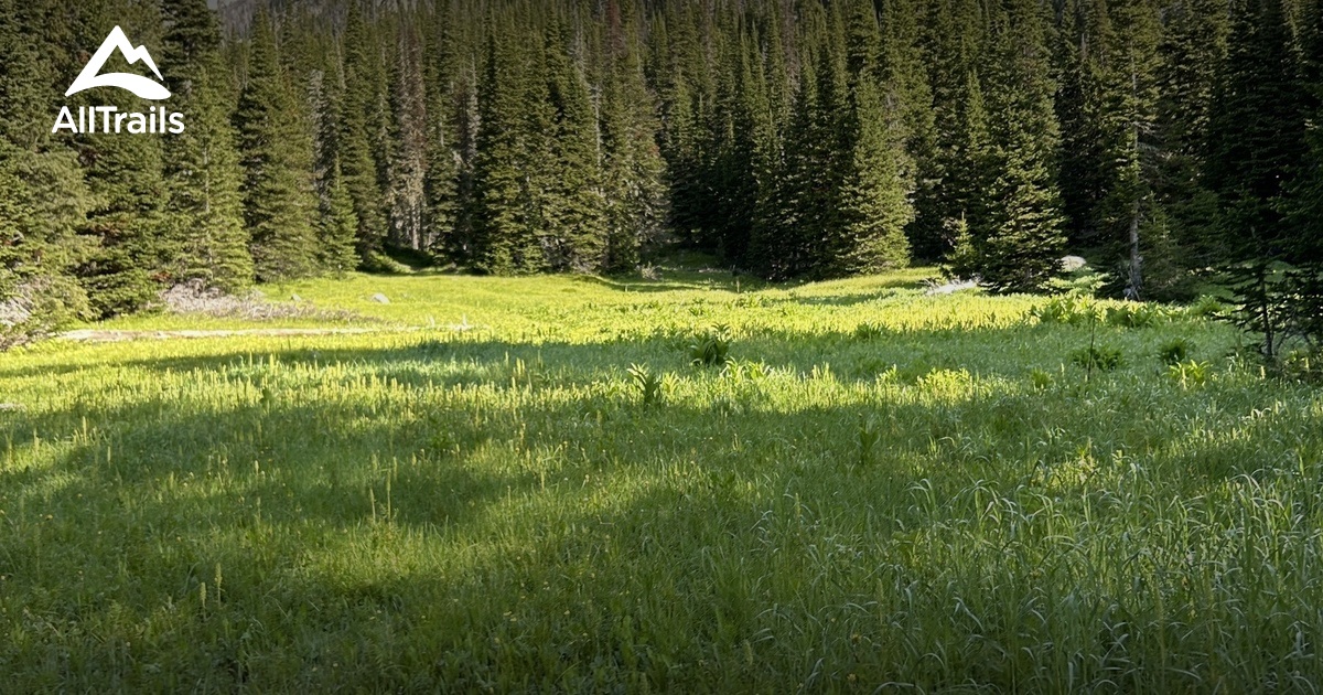 Crazy Mountains, Montana | List | AllTrails