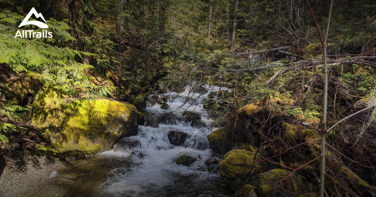 Lake Cushman Hikes | List | AllTrails