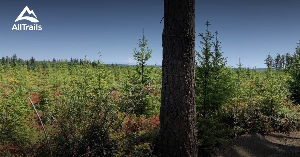 Olympic/ Puget sound trails | List | AllTrails