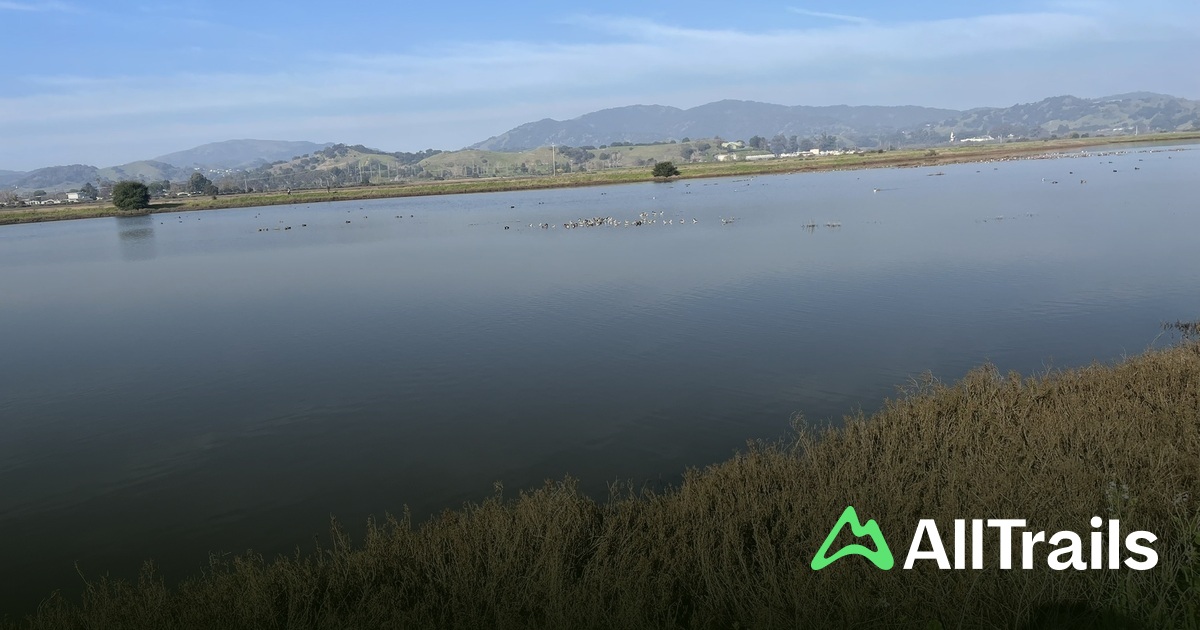 Marinwood hikes | List | AllTrails