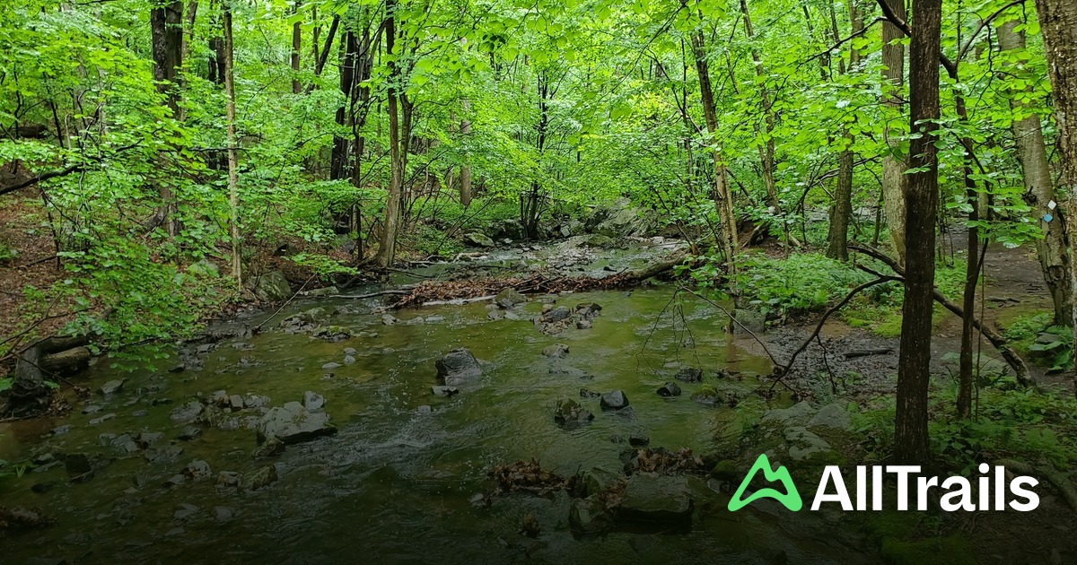 roaring rock park | List | AllTrails