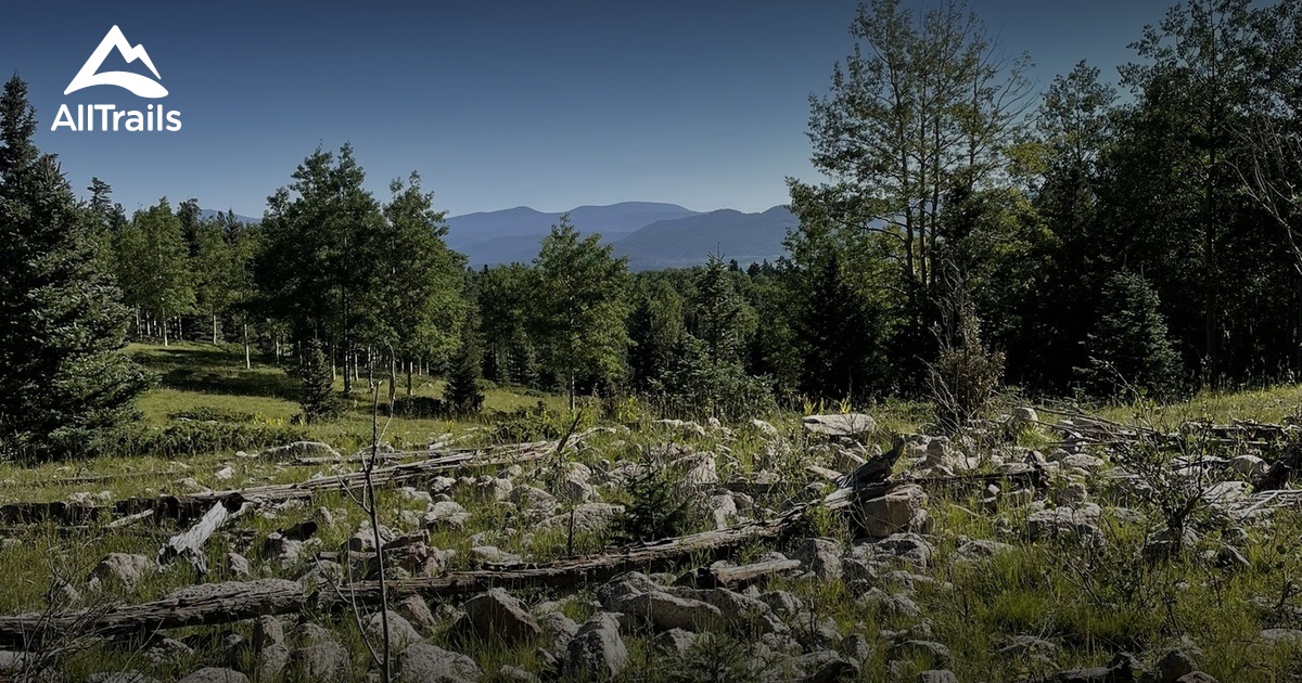 angle fire | List | AllTrails