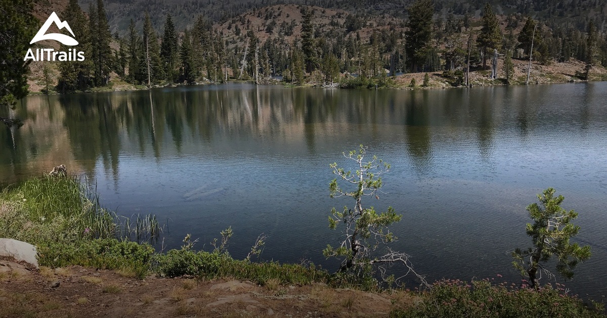 lake aloha loop from fallen leaf | List | AllTrails