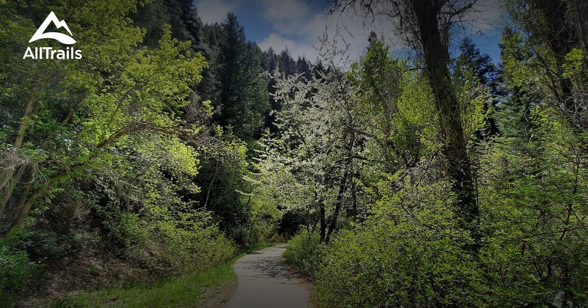 Hikes with dax | List | AllTrails