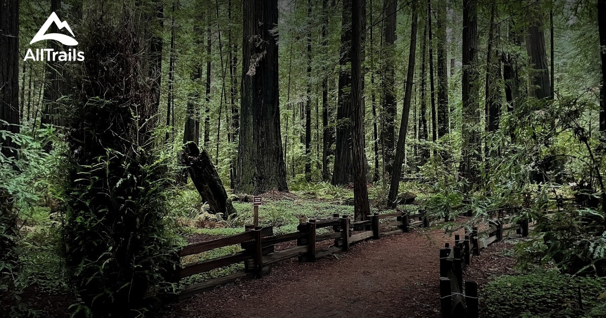 Humbolt redwood st park | List | AllTrails