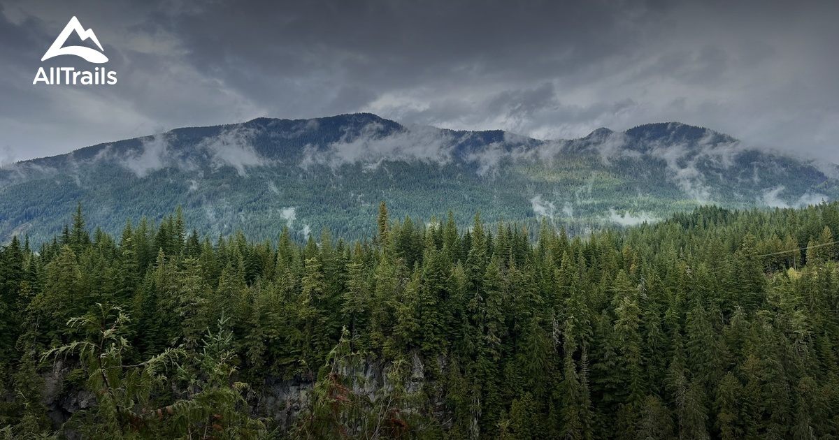 forest service roads | List | AllTrails