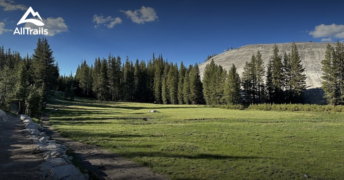 Tioga Rd | List | AllTrails