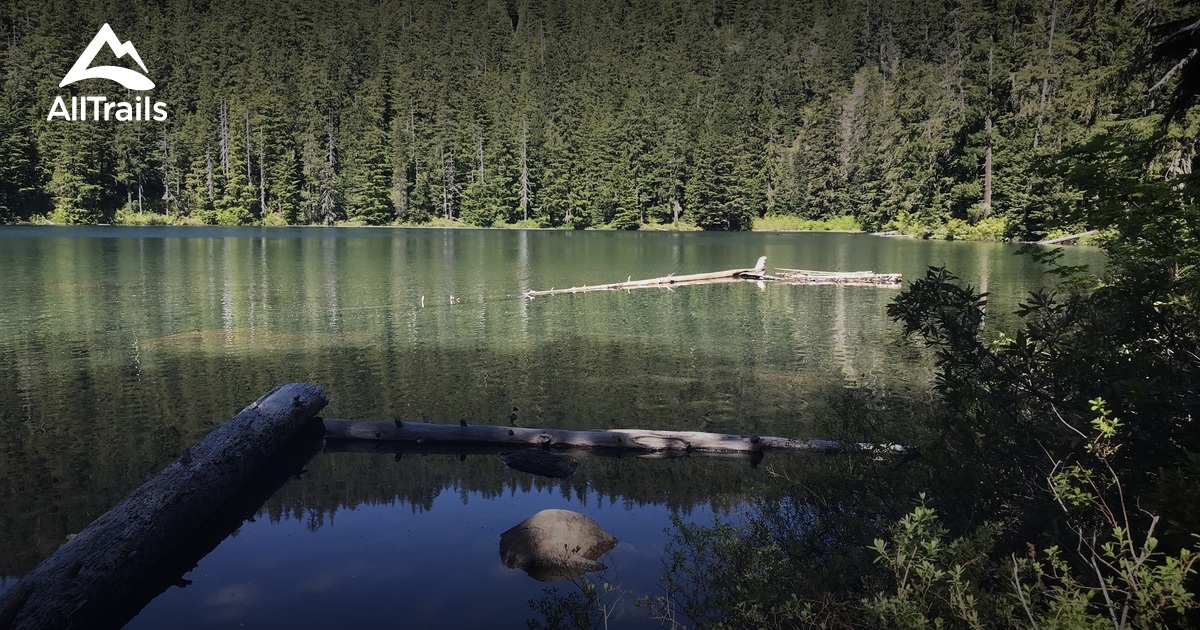 Timothy lake hiking | List | AllTrails
