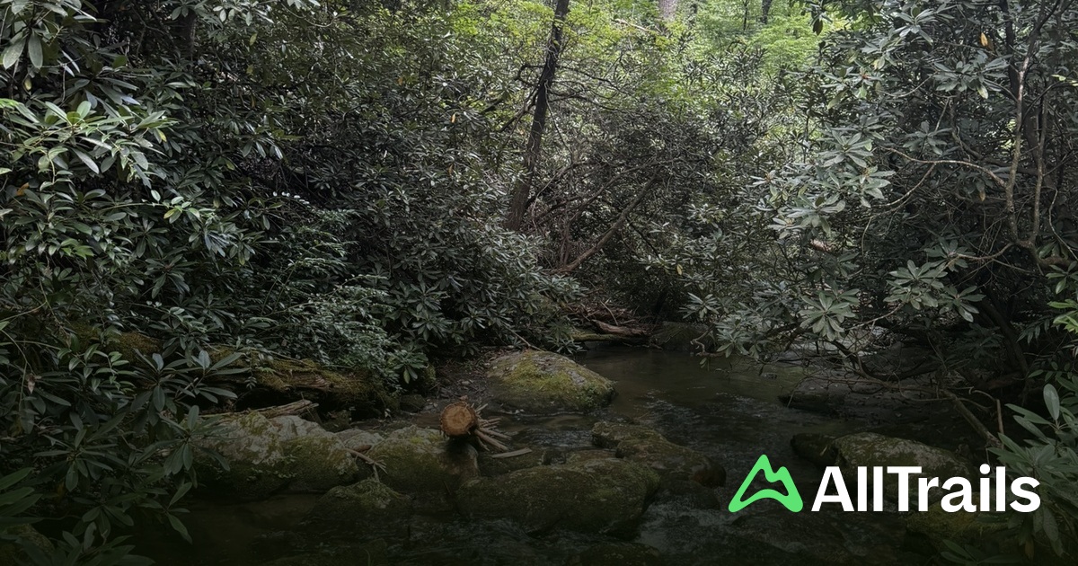 Outback trails | List | AllTrails