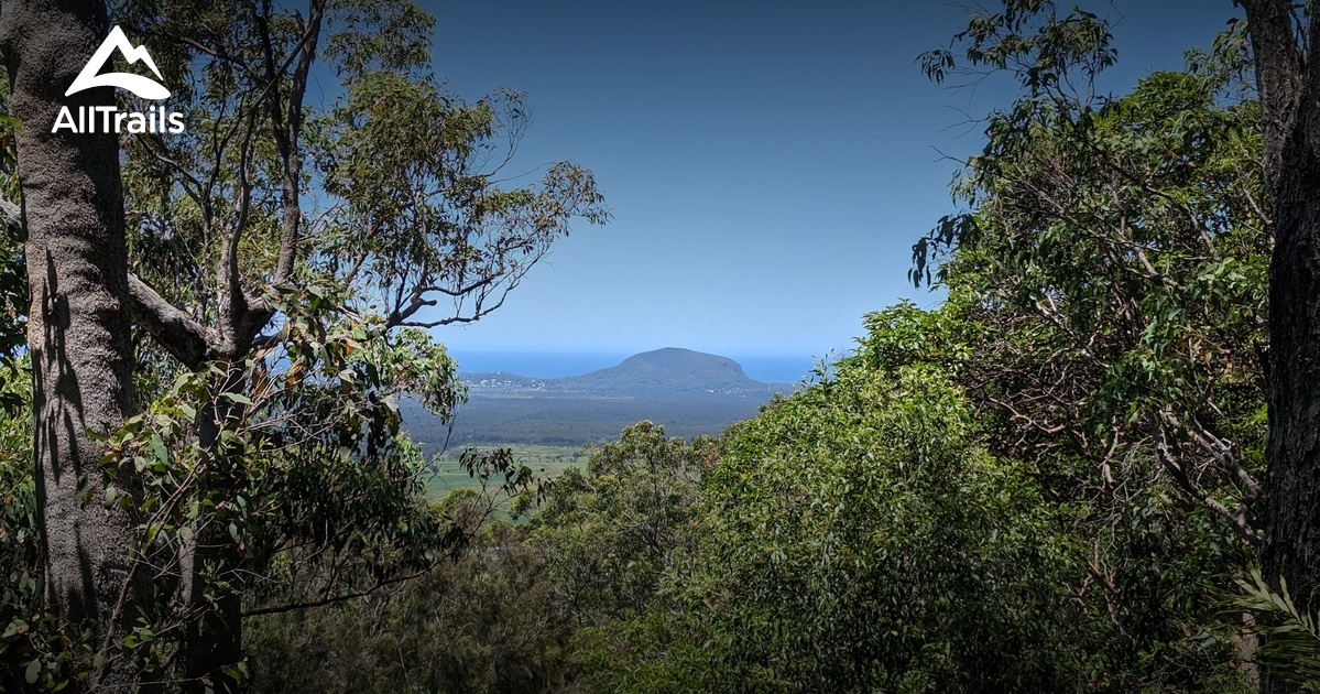 Paw Trails | List | AllTrails