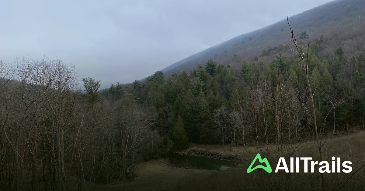 Locust Lake State Park | List | AllTrails