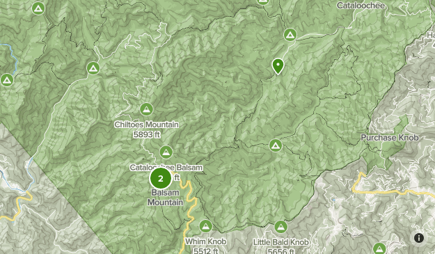 Balsam Mountain Campground | List | AllTrails