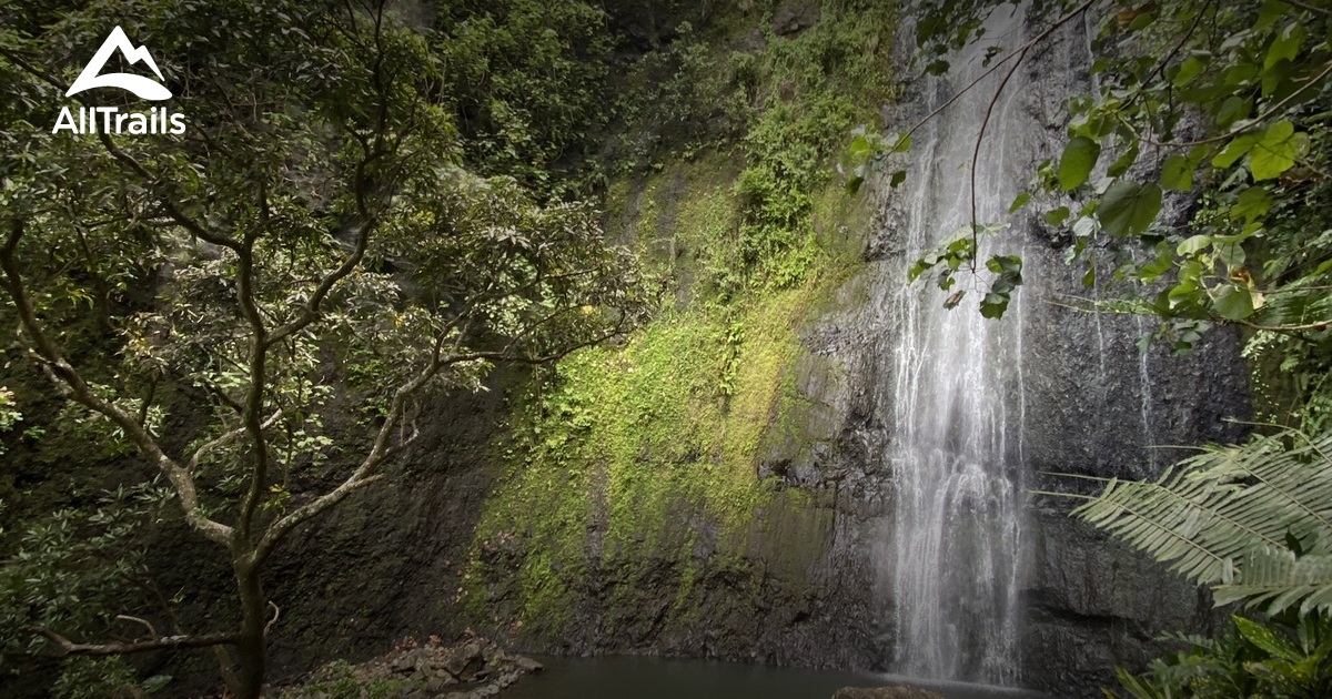 moorea waterfalls | List | AllTrails
