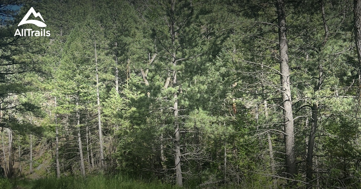 Wheel Trails | List | AllTrails