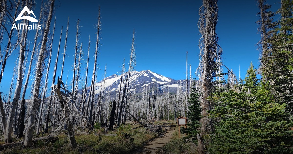 Mount Adam’s trails | List | AllTrails