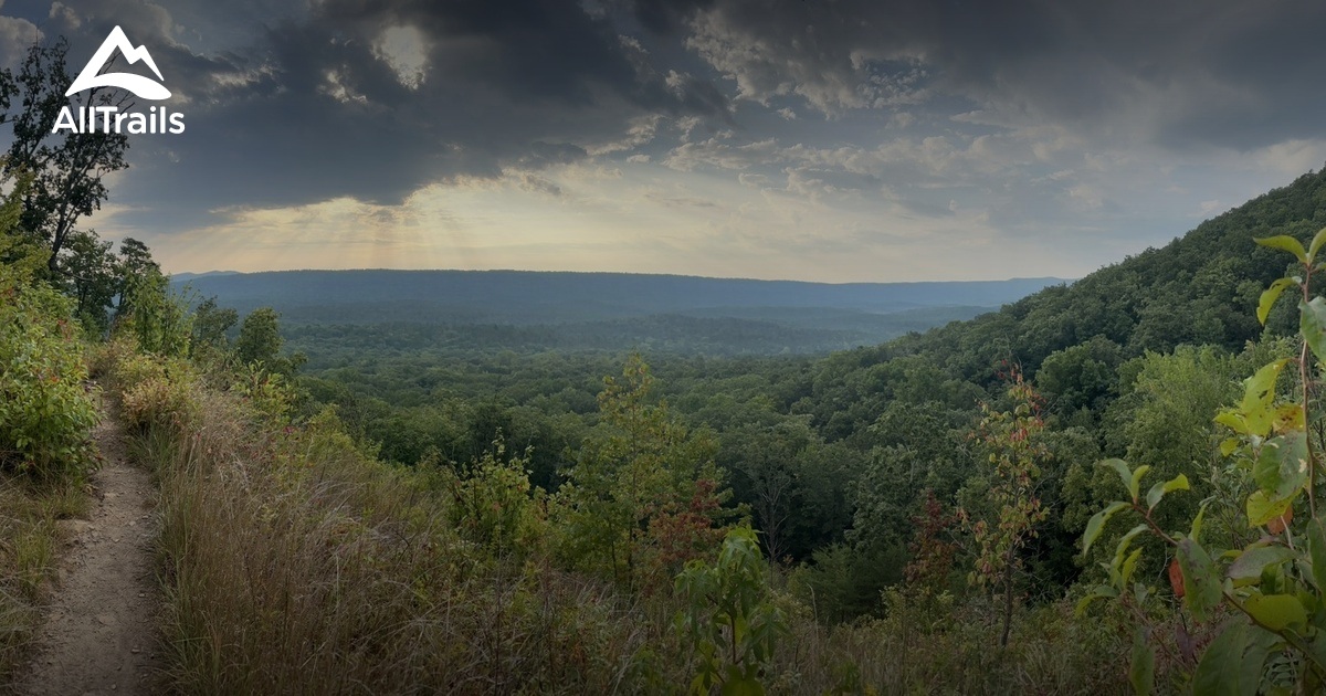 Pinhoti trail sections | List | AllTrails