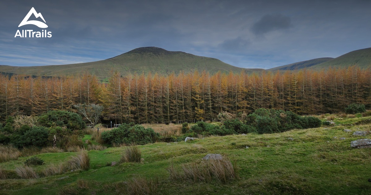 Galty Mountain | List | AllTrails