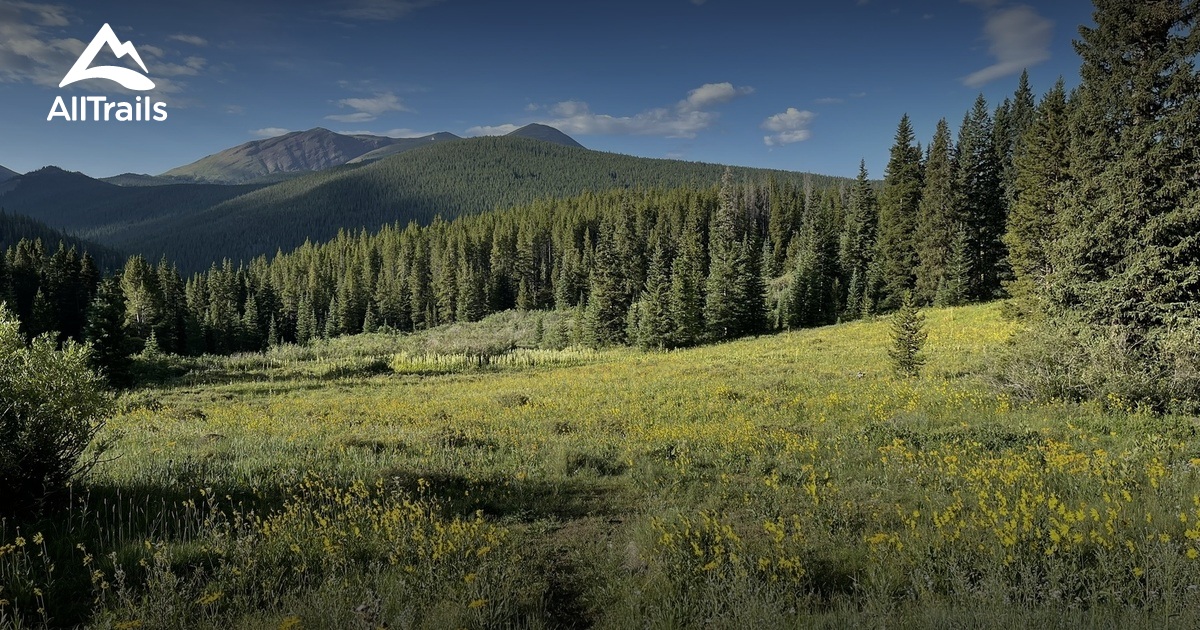 Aspen tree trails | List | AllTrails