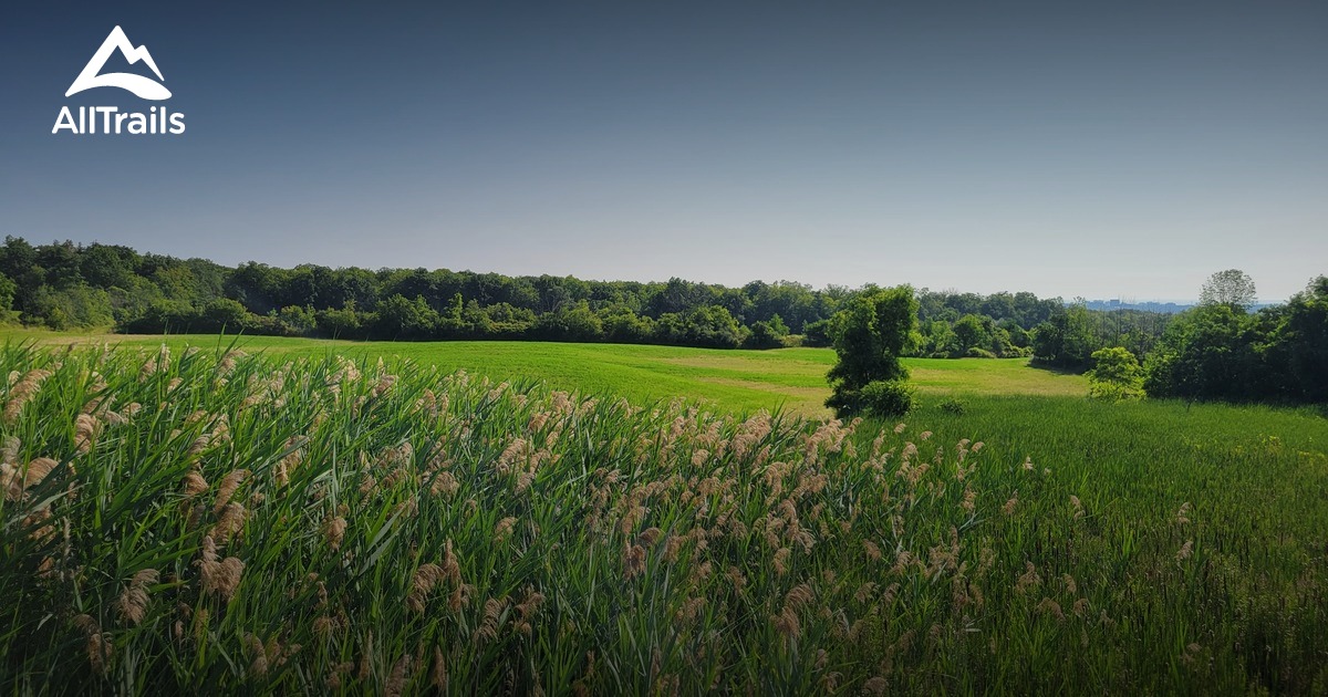 Bruce trail main sections | List | AllTrails