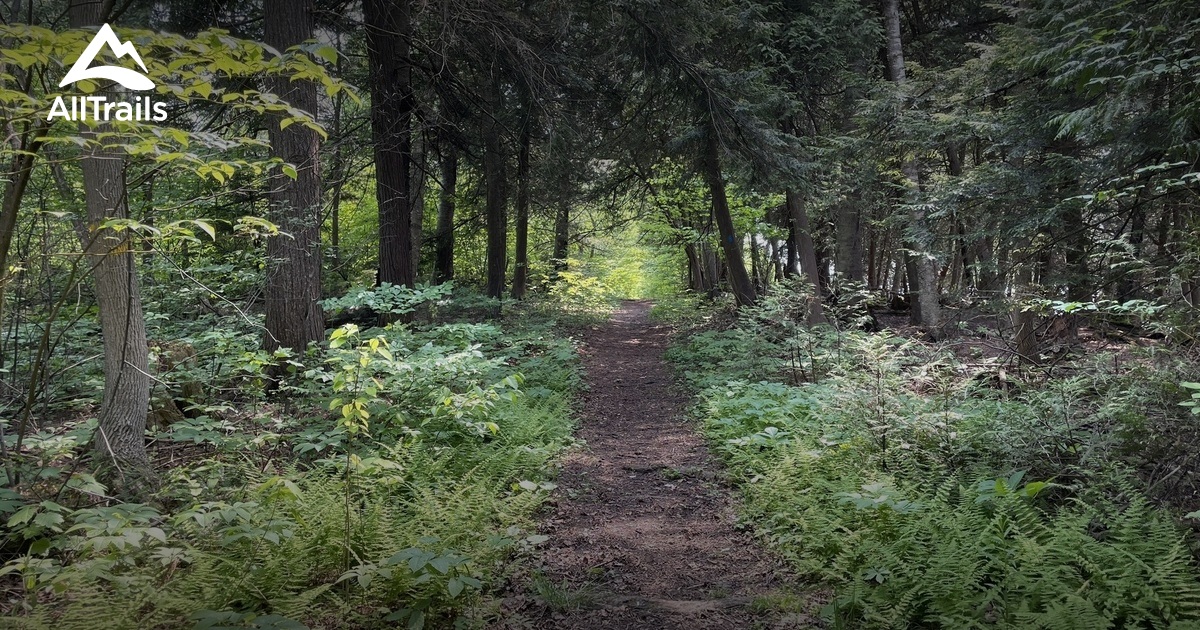 Cottage | List | AllTrails