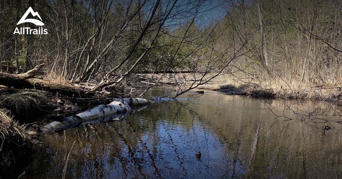 Roscommon State Forest | List | AllTrails