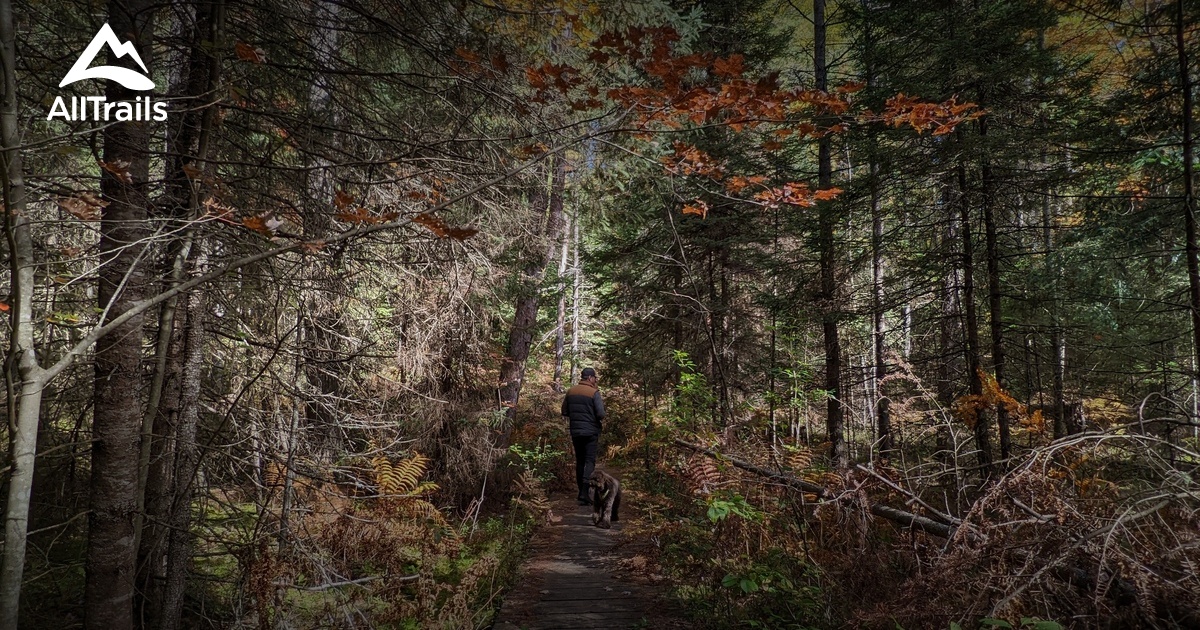 Roscommon State Forest | List | AllTrails