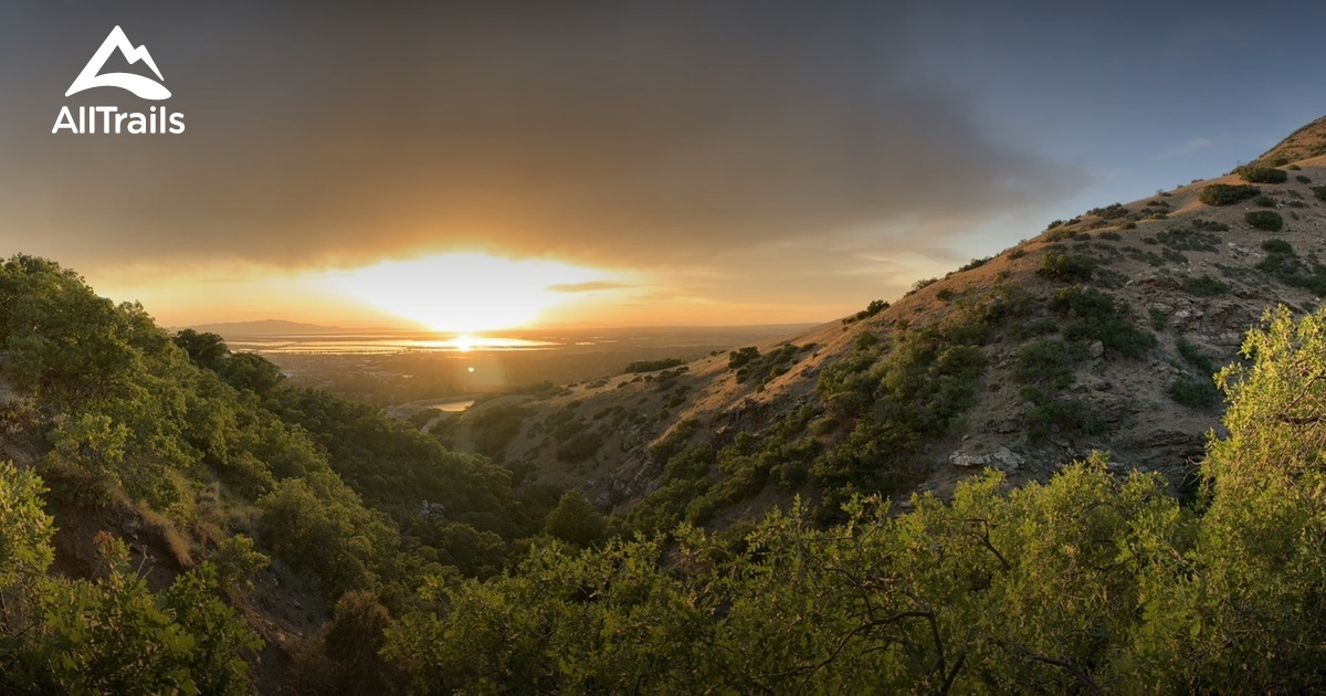 Treasure Maps | List | AllTrails