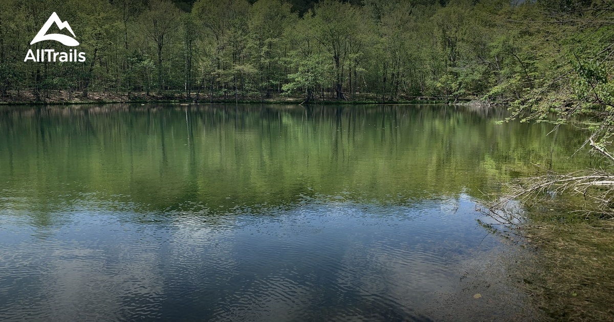 Randonnée Rive-Sud | List | AllTrails