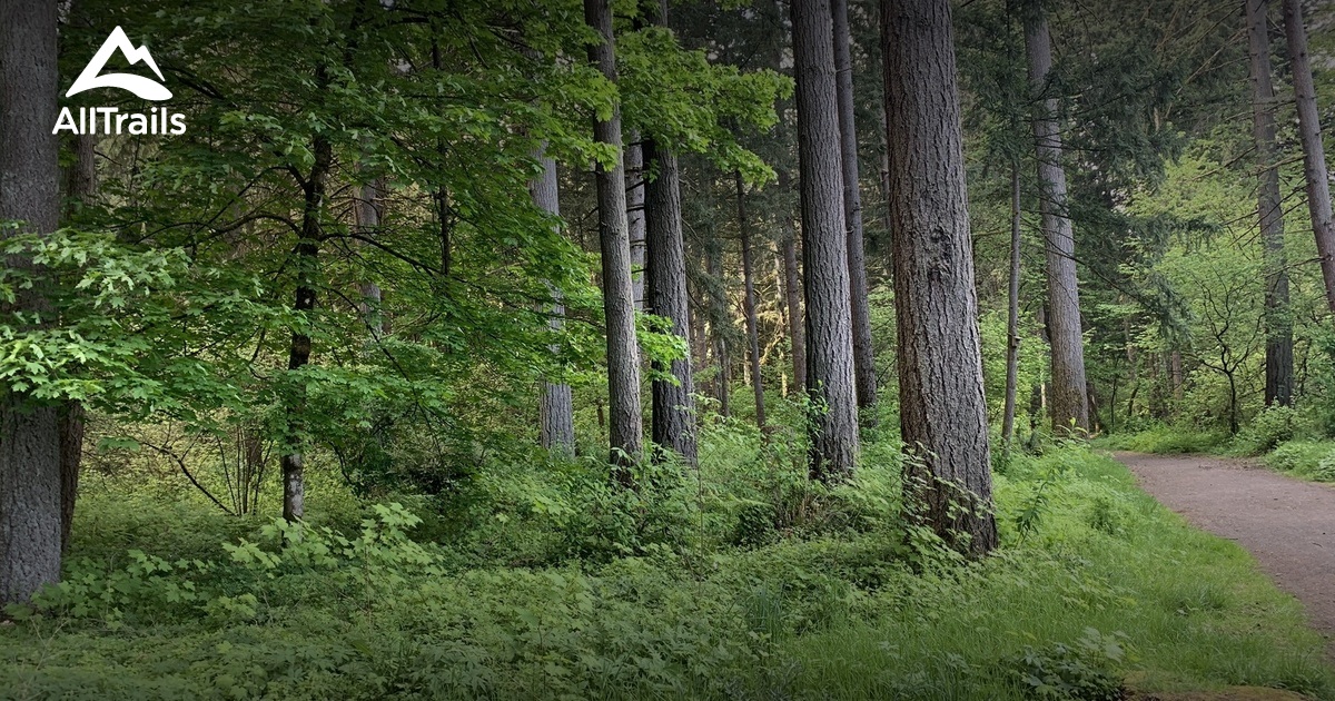 Walking trail with Flex | List | AllTrails