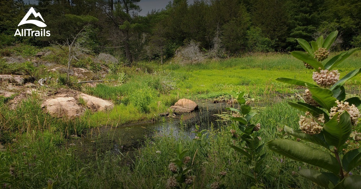 Tay valley | List | AllTrails