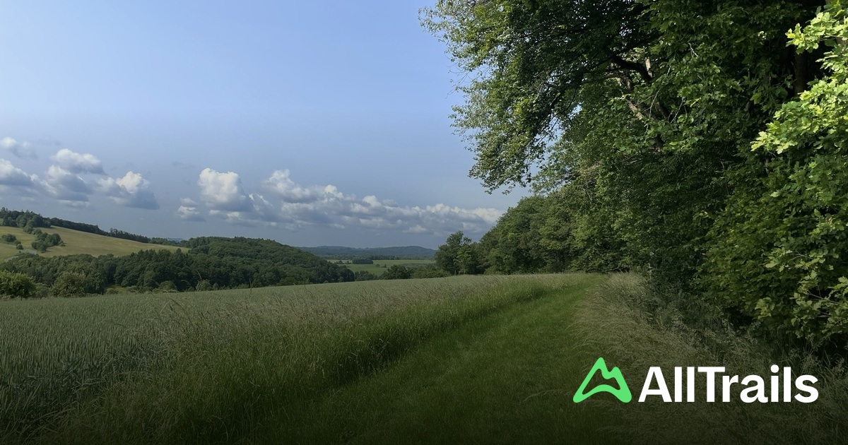Lieser Trail | List | AllTrails