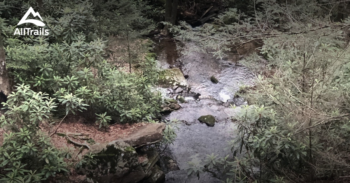 Sproul State Park | List | AllTrails