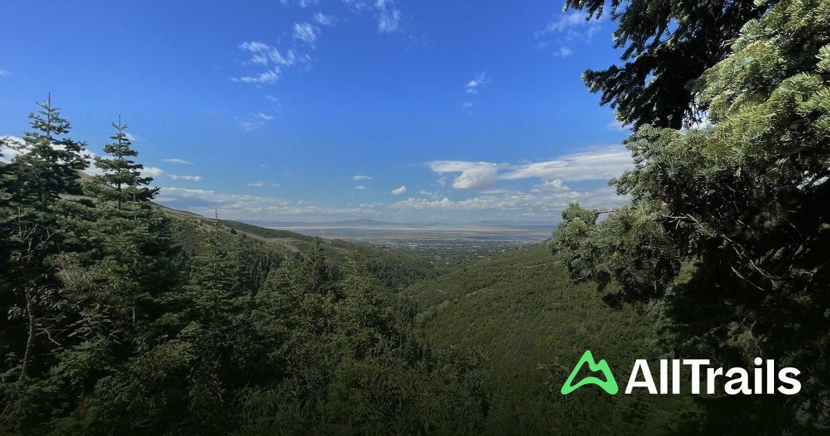 evening after work hikes | List | AllTrails